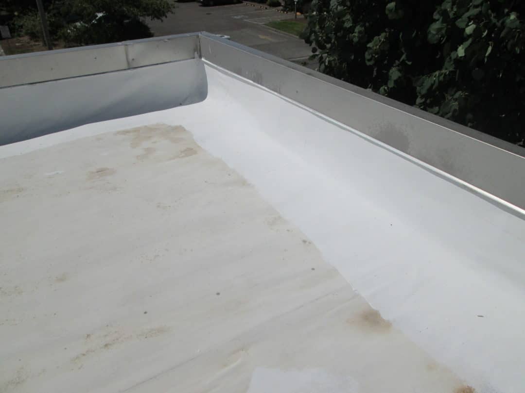 PVC roofing membranes
